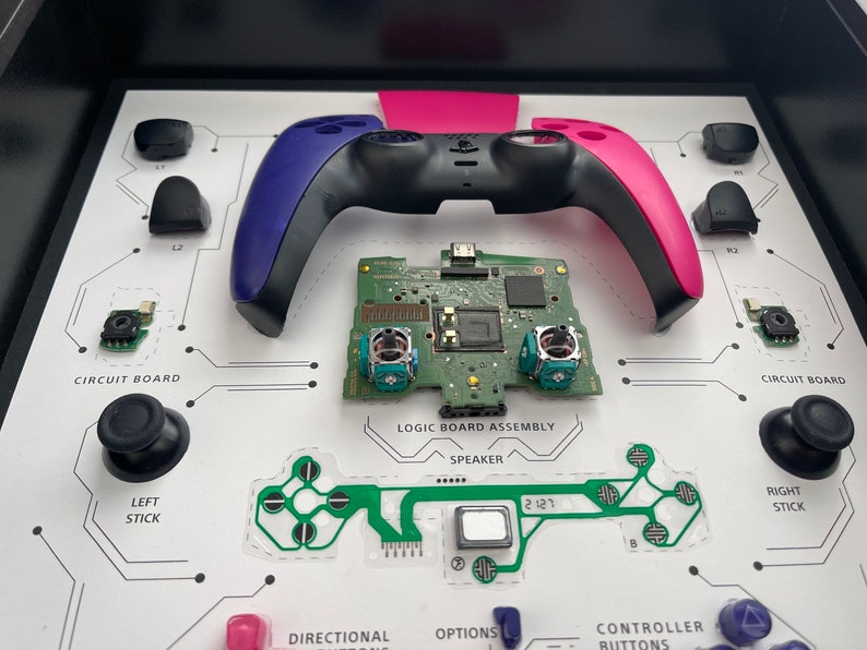 Pink & Purple Dualsense Controller Teardown Art - Etsy