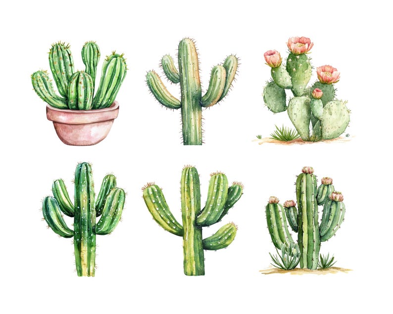 Watercolor Cactus Clipart Bundle, Cactus Png, Desert Cactus Clip Art ...