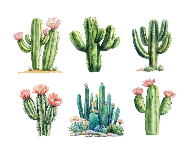 Watercolor Cactus Clipart Bundle, Cactus Png, Desert Cactus Clip Art ...