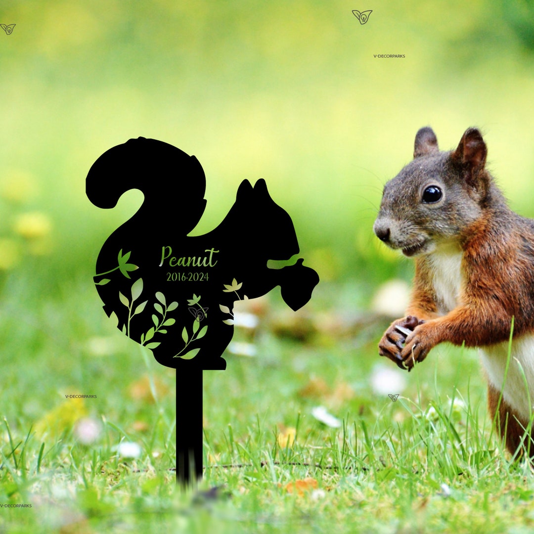 Personalized Squirrel Metal Sign, Squirrel Gift, Custom Squirrel Sign ...