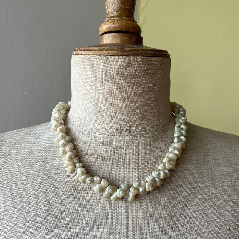 Trochus Shell - Etsy