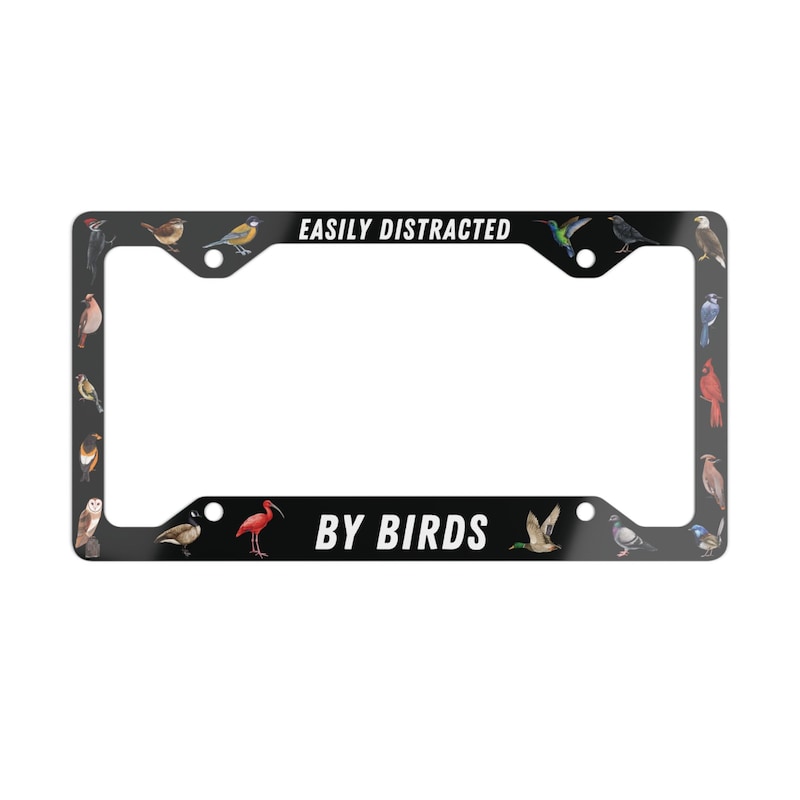 Bird Plates - Etsy