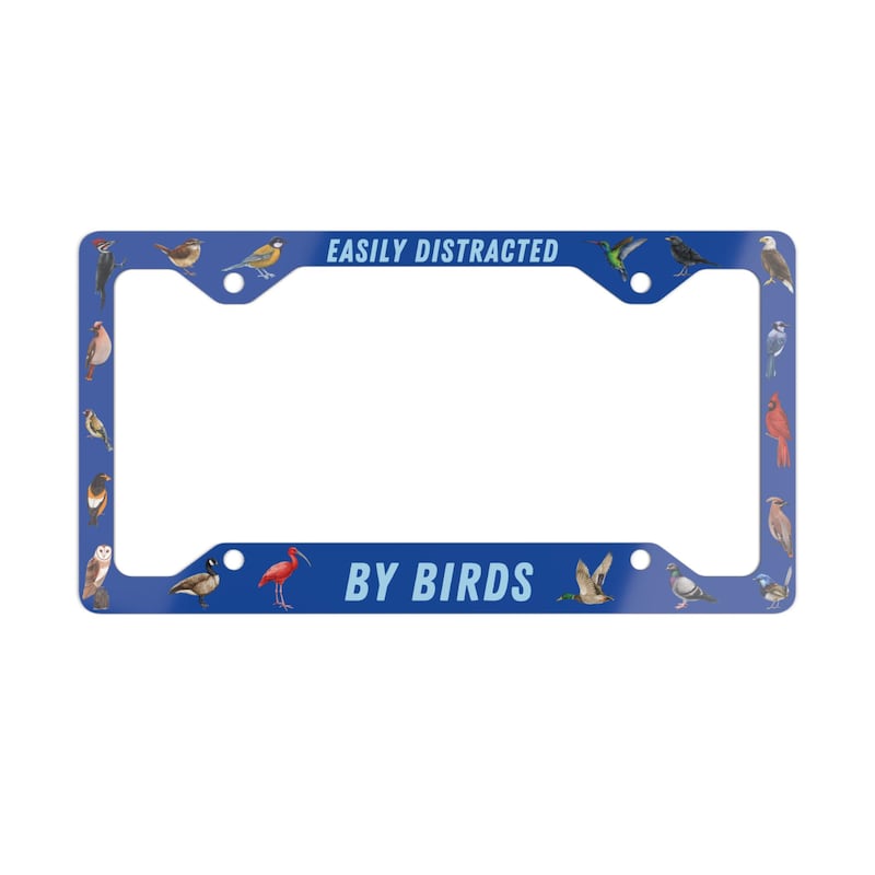 Bird Plates - Etsy
