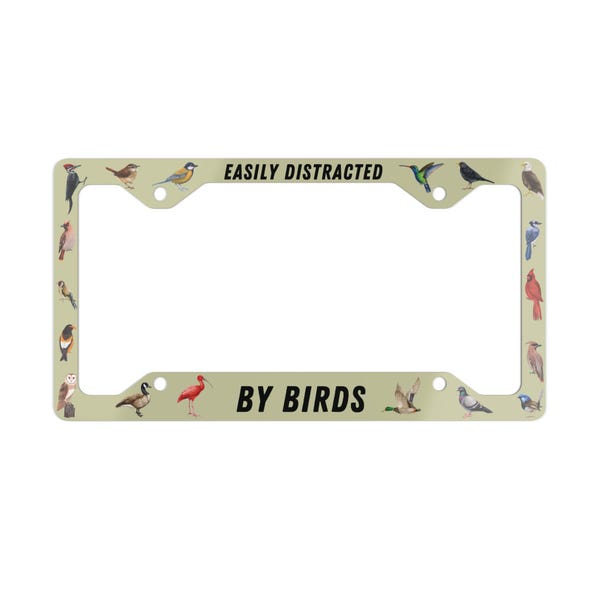 License Plate Bird Feeder - Etsy