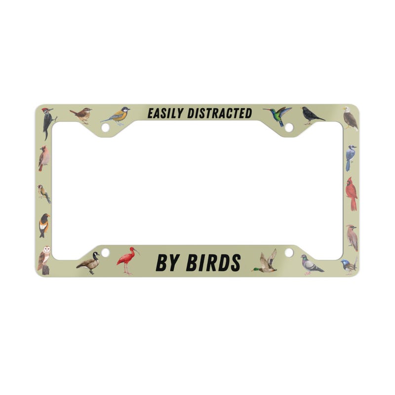 License Plate Bird Feeder - Etsy