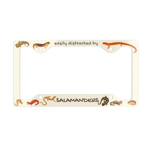 License Plate Frame, Easily Distracted by Salamanders, Funny Amphibian ...