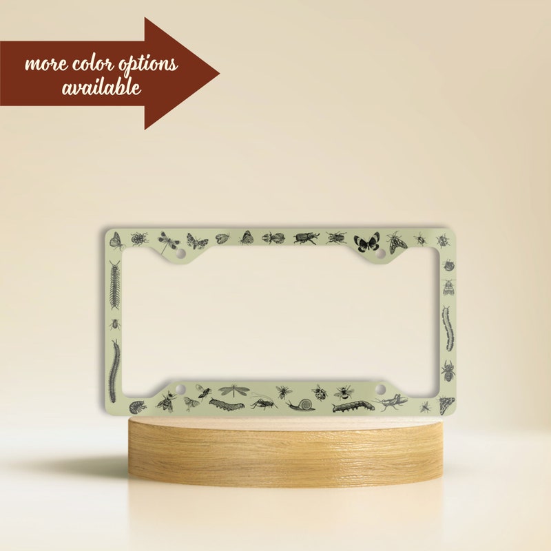 Metal Insects Frame - Etsy