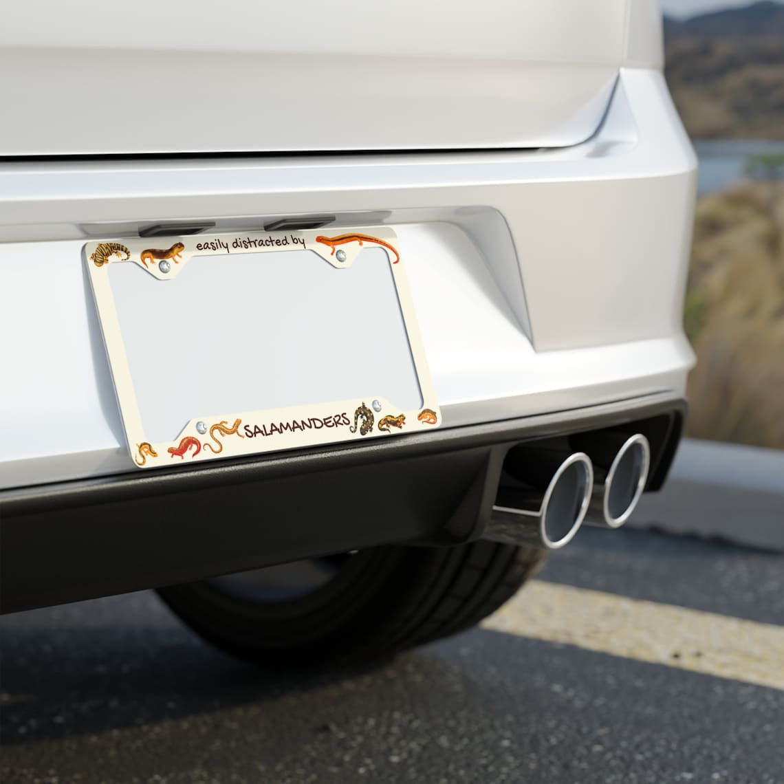 License Plate Frame, Easily Distracted by Salamanders, Funny Amphibian ...