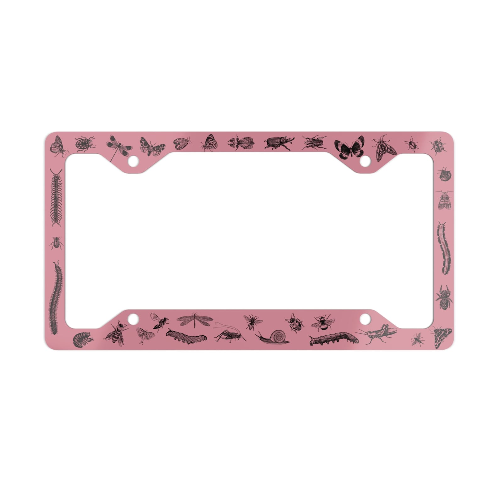Insects License Plate Frame - Entomology Entomologist Car Truck Gift ...