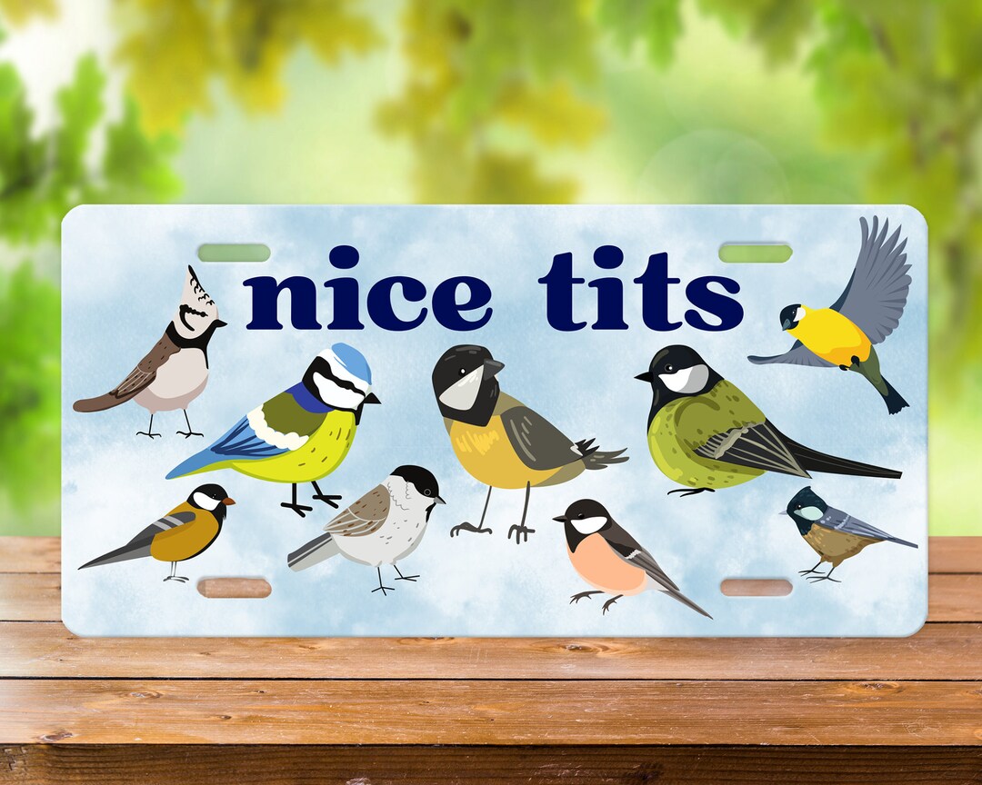 Nice Tits Bird License Plate Punny Car Gift for Bird Watchers Blue Tit ...