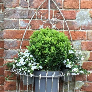 Arched Metal Hanging Wall Planters - Gothic Metal Basket Planters - Etsy UK