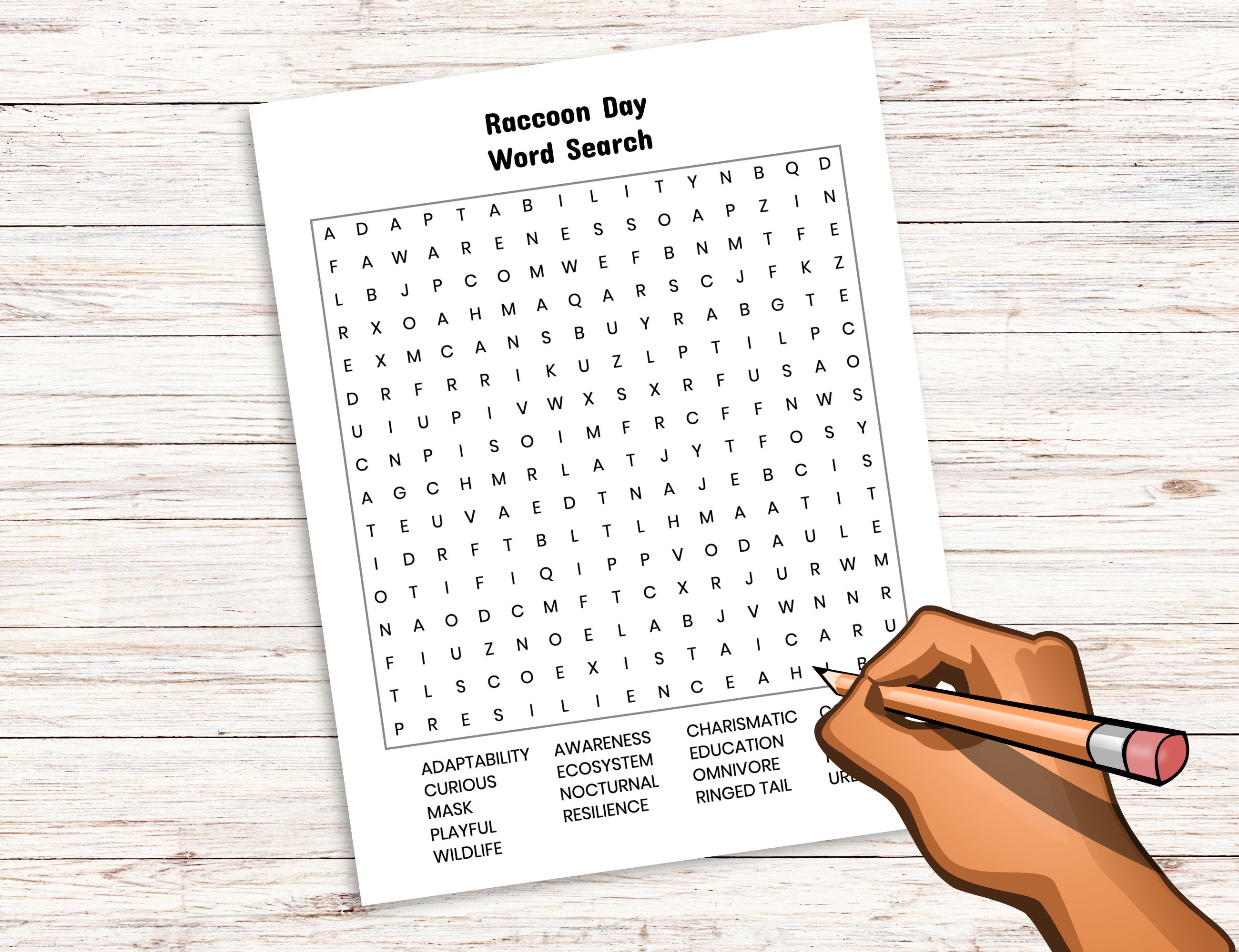 International Raccoon Appreciation Day Word Puzzle Book - 13 Puzzles ...