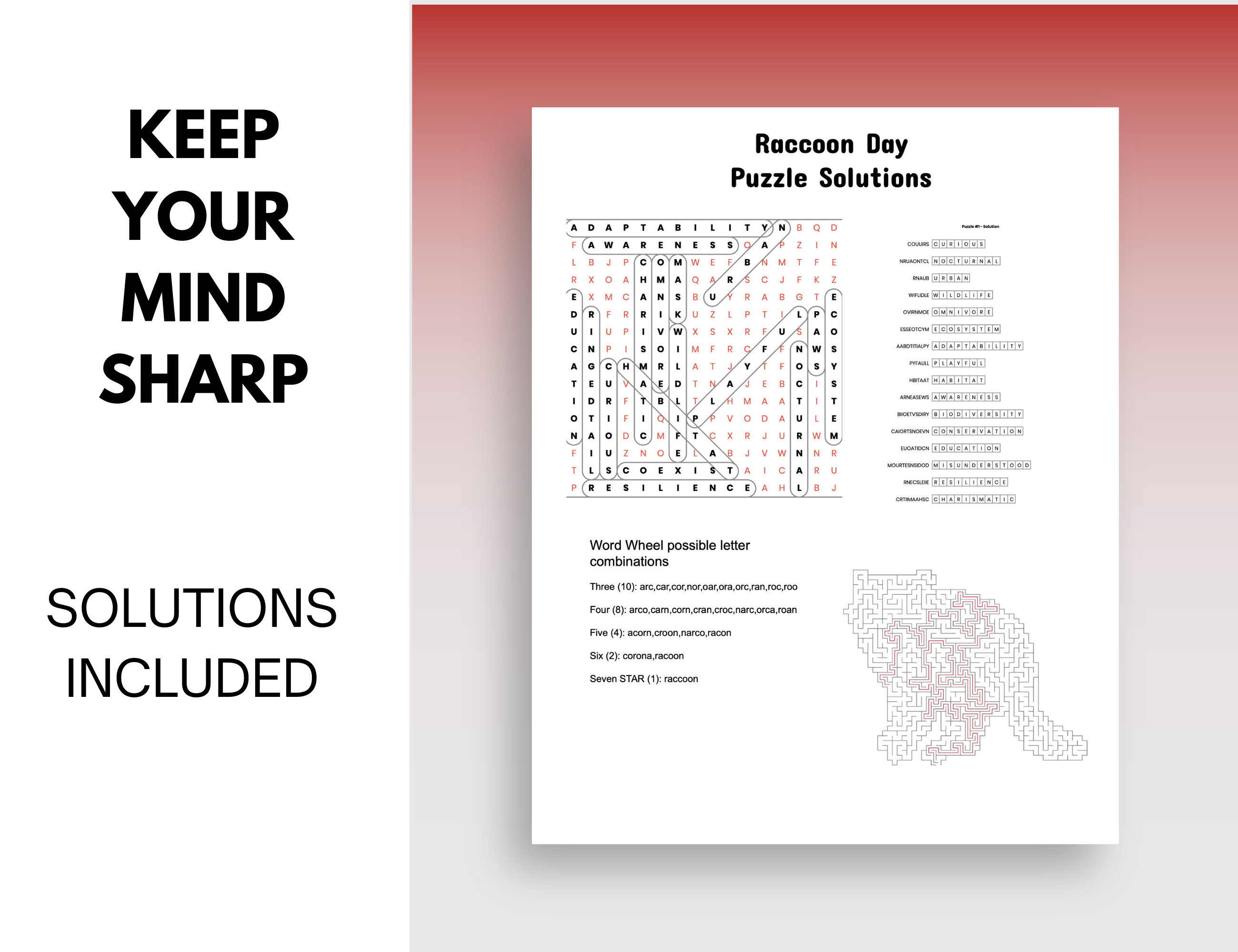 International Raccoon Appreciation Day Word Puzzle Book - 13 Puzzles ...