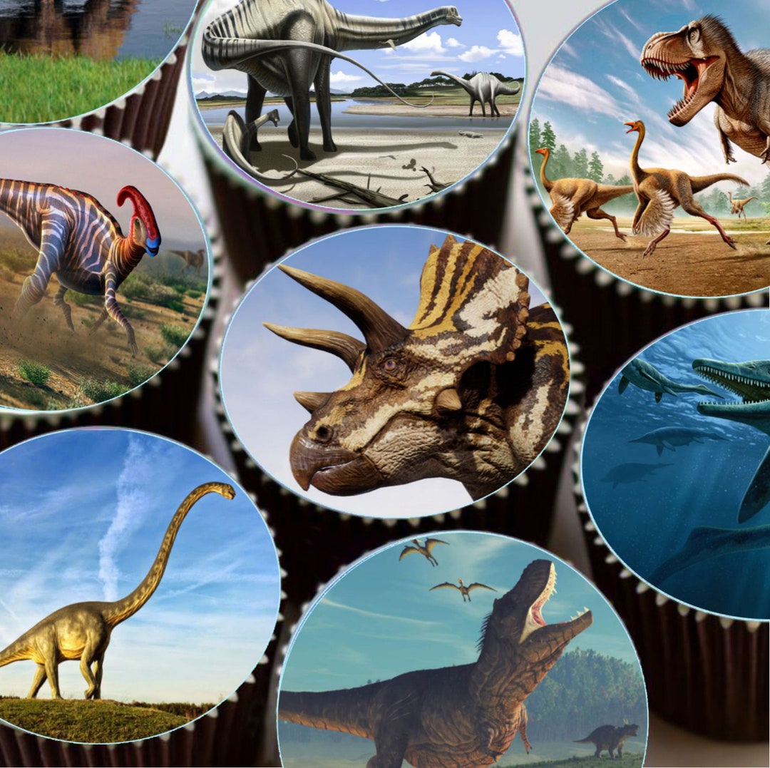 Dinosaurs Round Pre-cut Edible Cup Cake Topper Decorations - Etsy