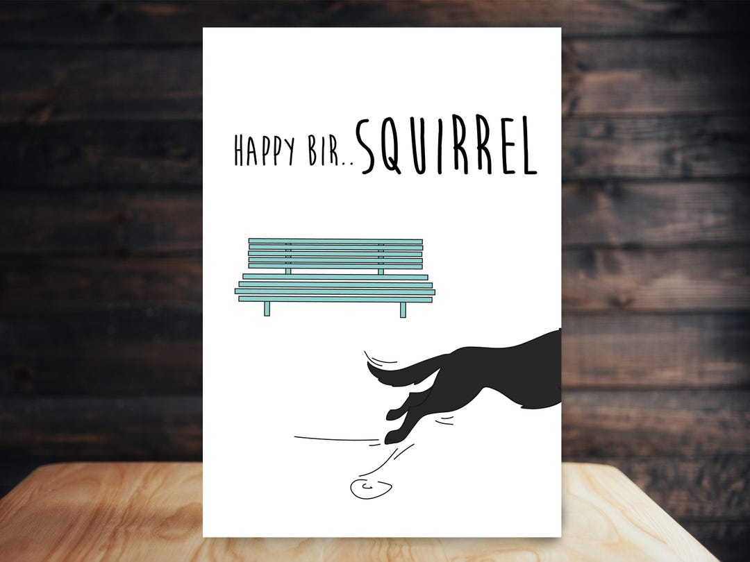 Distracted Dog SQUIRREL Funny Birthday Card | Labrador Retriever Black ...