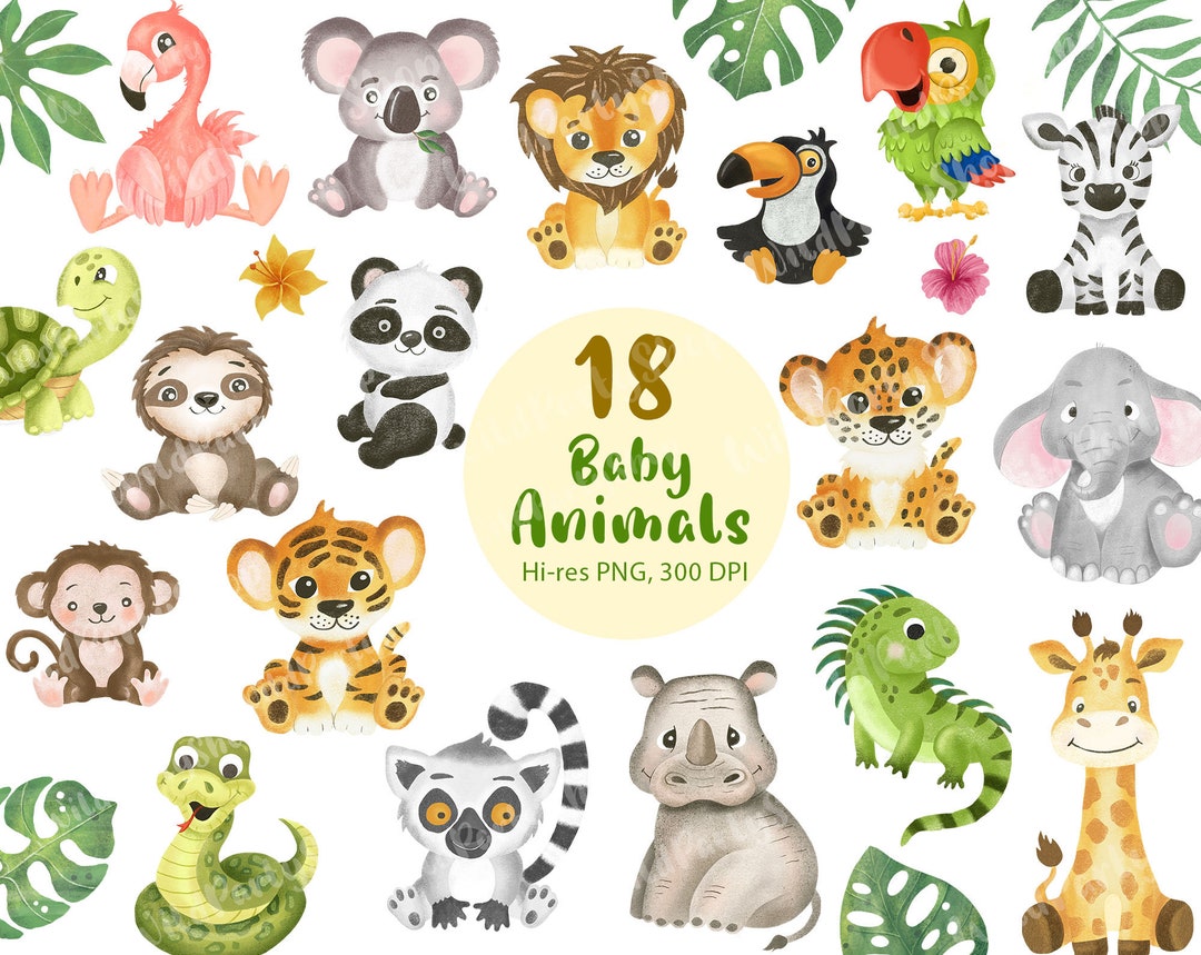Safari Jungle Animals Nursery Clipart, Watercolor African Wild One ...