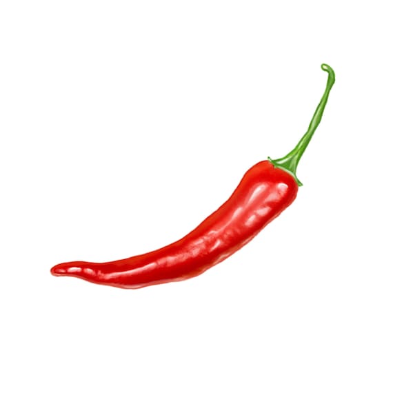 Chilli Pepper Png - Etsy