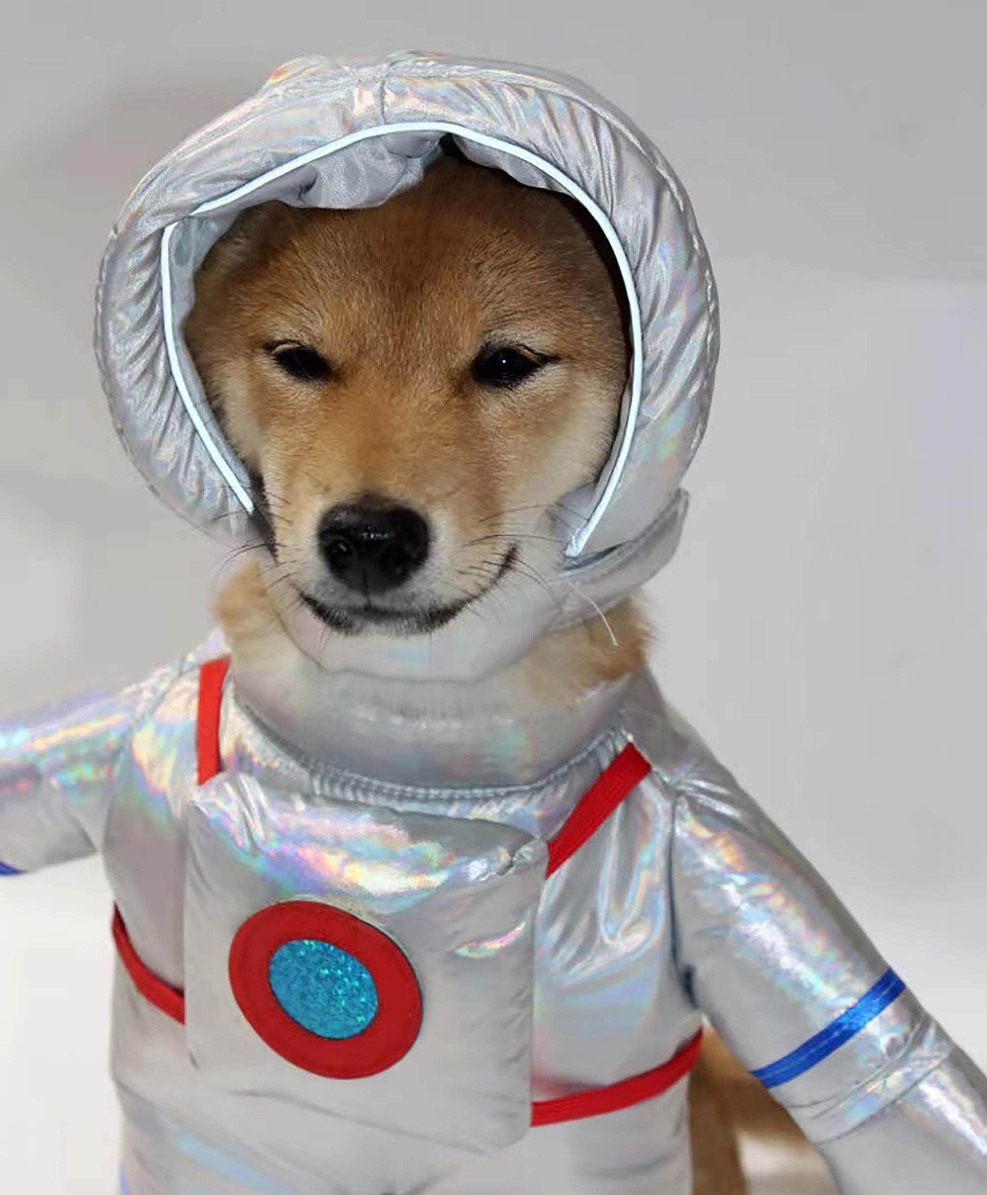 Dog Astronaut Costume