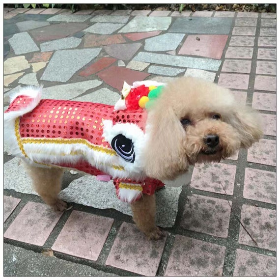 Creative Pet Costumes