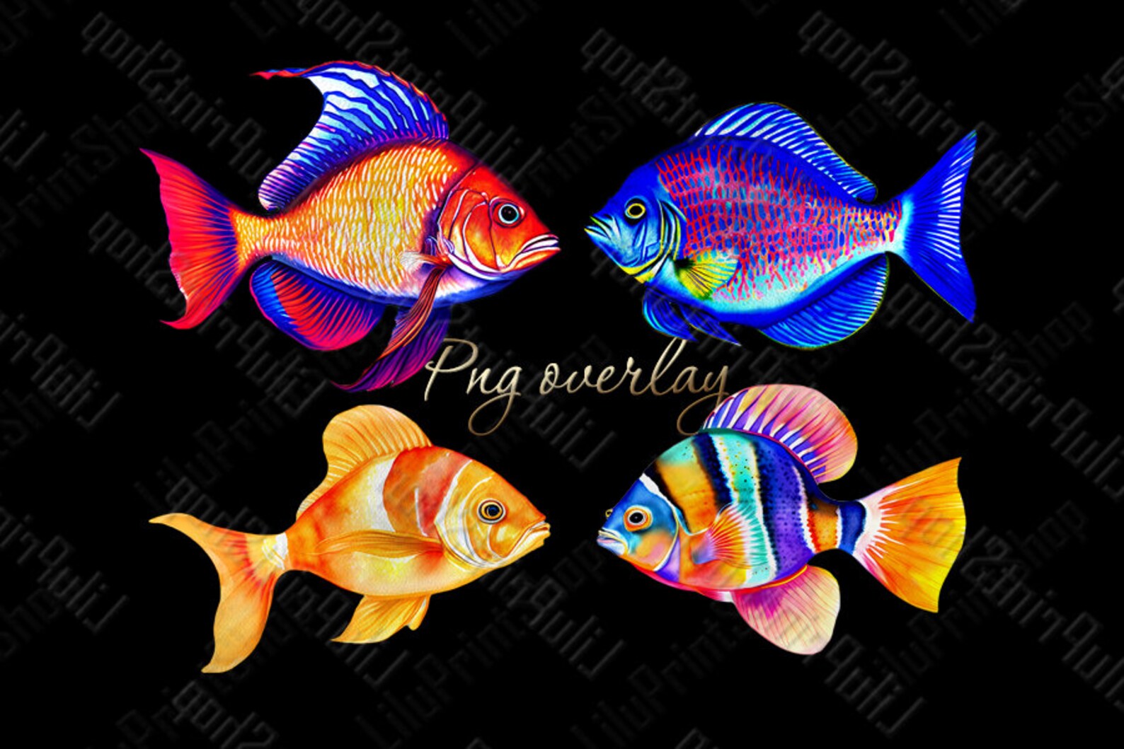 Fish Watercolor Clipart Png Sea Clip Art Tropical Fish - Etsy