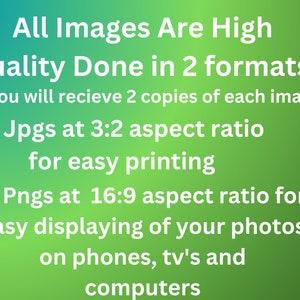 4 Tiger Digital Backdrop and 1 Bonus File High Quality, Fun Digital ...