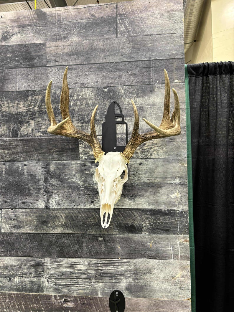 Deer Skull Mount Hanger SVG, DXF File, Laser Cut Files, CNC Plasma ...