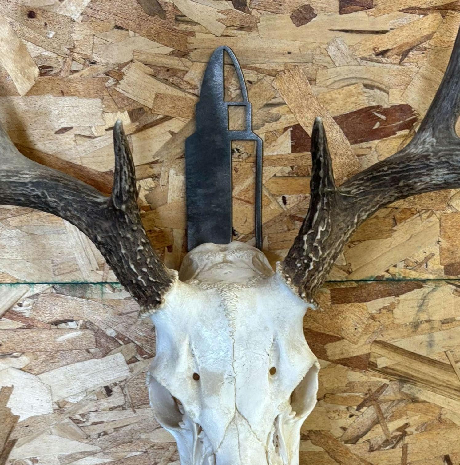 Euro Mount Display Dxf Files for Cnc Plasma Cutting, Skull Mount Dxf ...