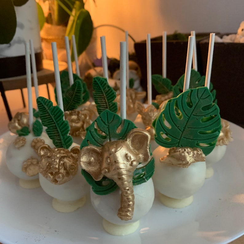 Safari Jungle Cake Pops /mini Donut Pops ( 12 Pieces ) - Etsy