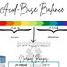 Acid Base Balance Study Guide - Etsy