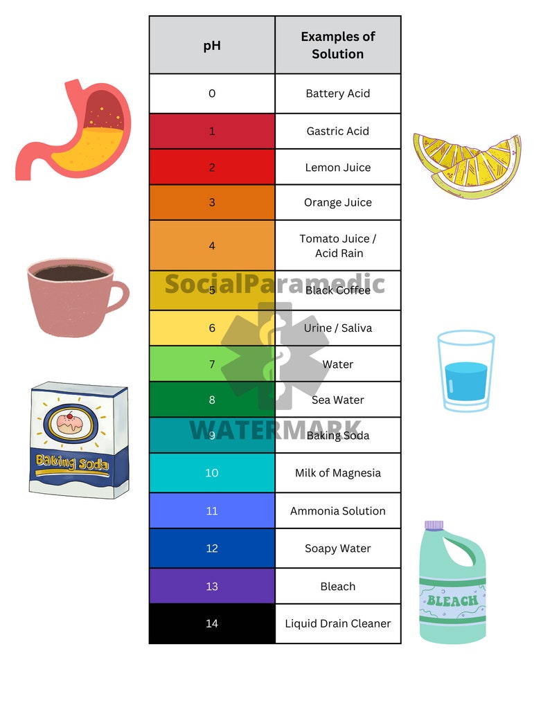 Acid Base Balance Study Guide - Etsy