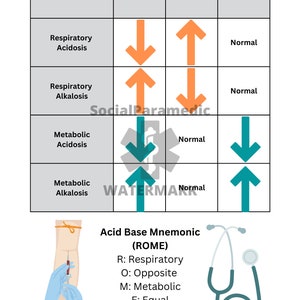 Acid Base Balance Study Guide - Etsy