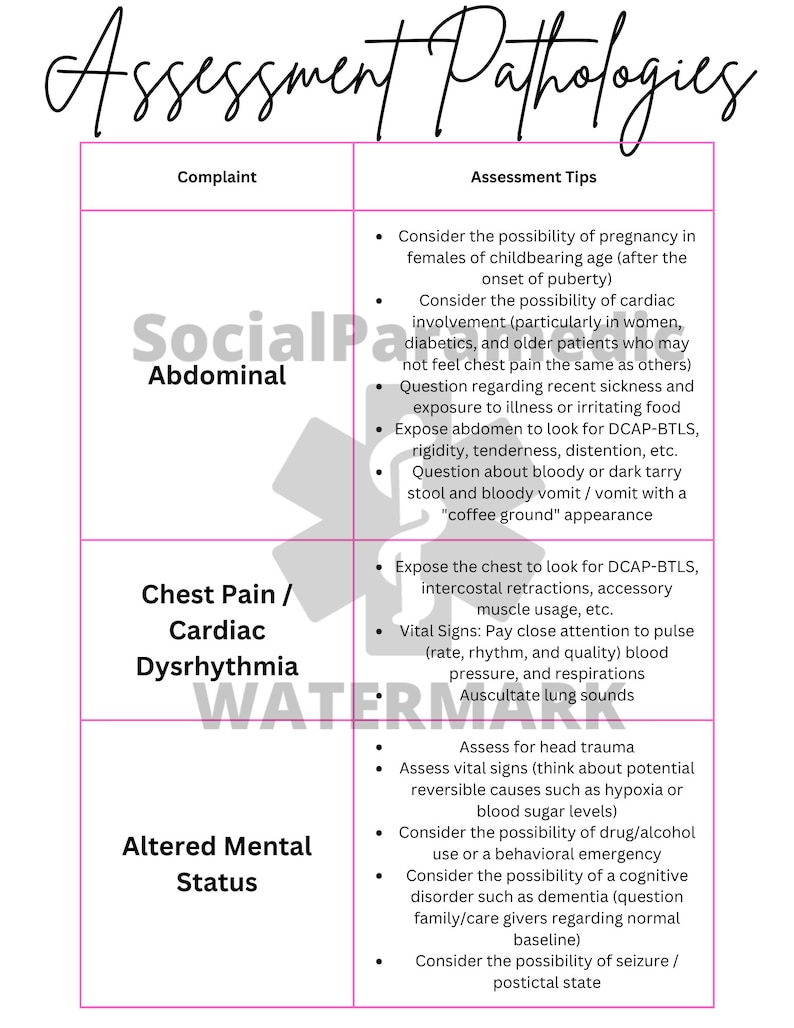 Patient Assessment Study Guide - Etsy