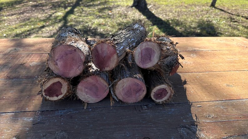 Bundle of 6 Natural Cedar Wood Limbs for Rustic Crafts, DIY Projects ...