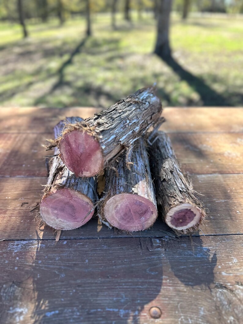 Bundle of 6 Natural Cedar Wood Limbs for Rustic Crafts, DIY Projects ...