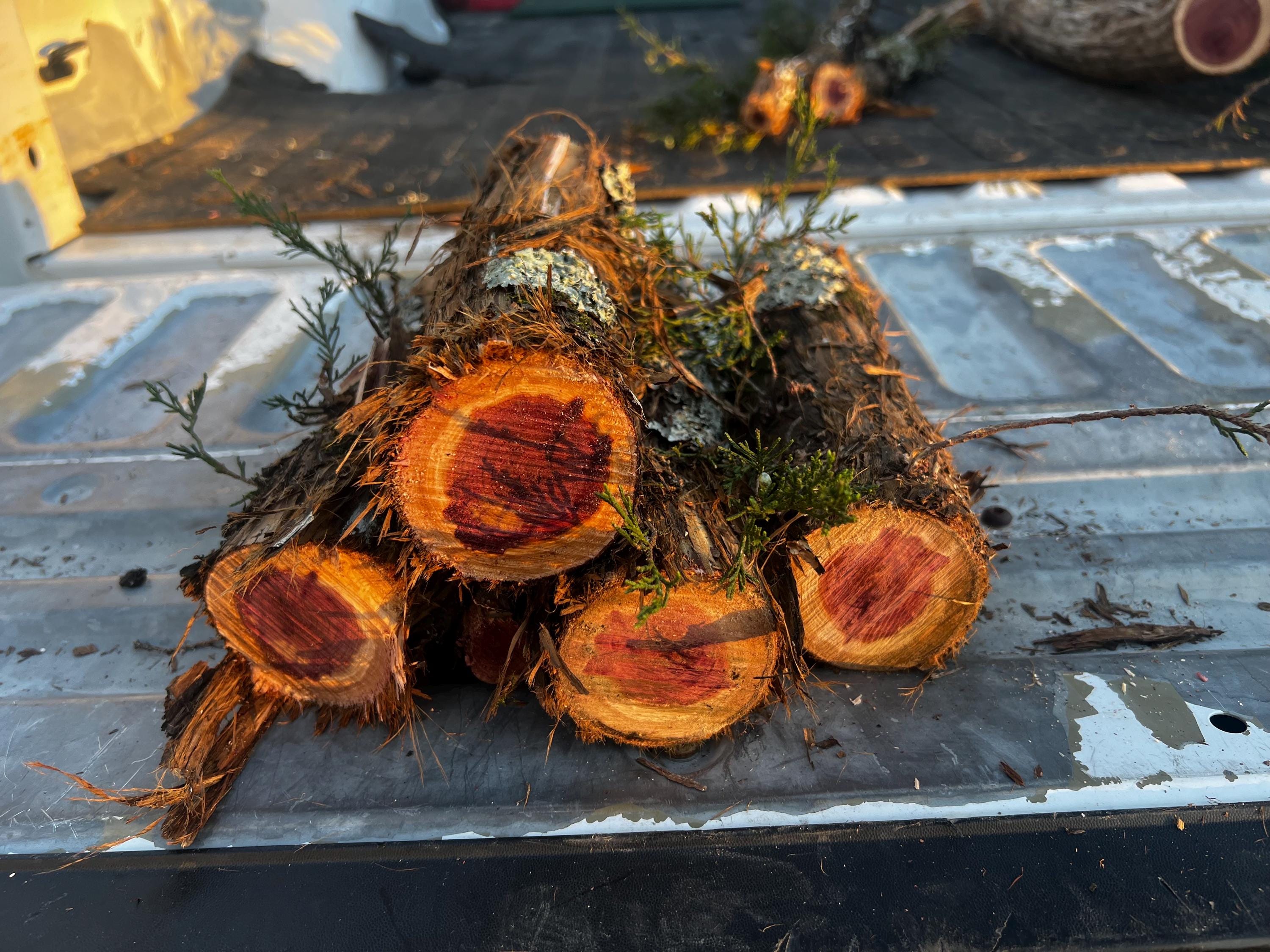 Bundle of 6 Natural Cedar Wood Limbs for Rustic Crafts, DIY Projects ...