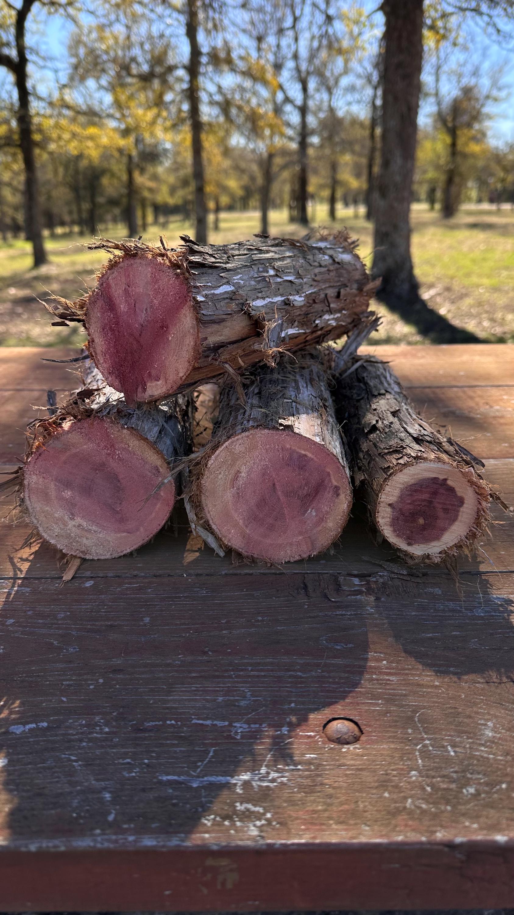 Bundle of 6 Natural Cedar Wood Limbs for Rustic Crafts, DIY Projects ...