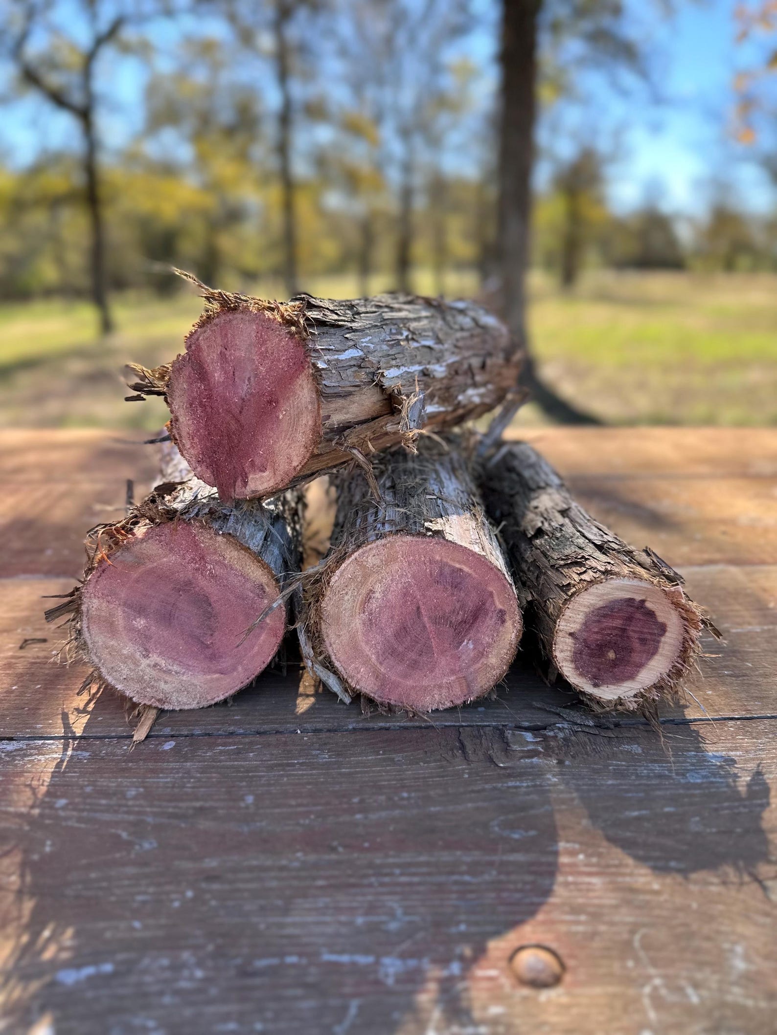 Bundle of 6 Natural Cedar Wood Limbs for Rustic Crafts, DIY Projects ...