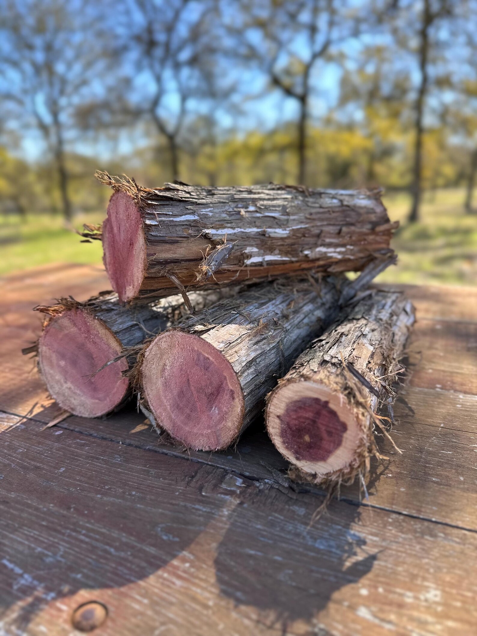 Bundle of 6 Natural Cedar Wood Limbs for Rustic Crafts, DIY Projects ...
