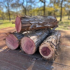 Bundle of 6 Natural Cedar Wood Limbs for Rustic Crafts, DIY Projects ...