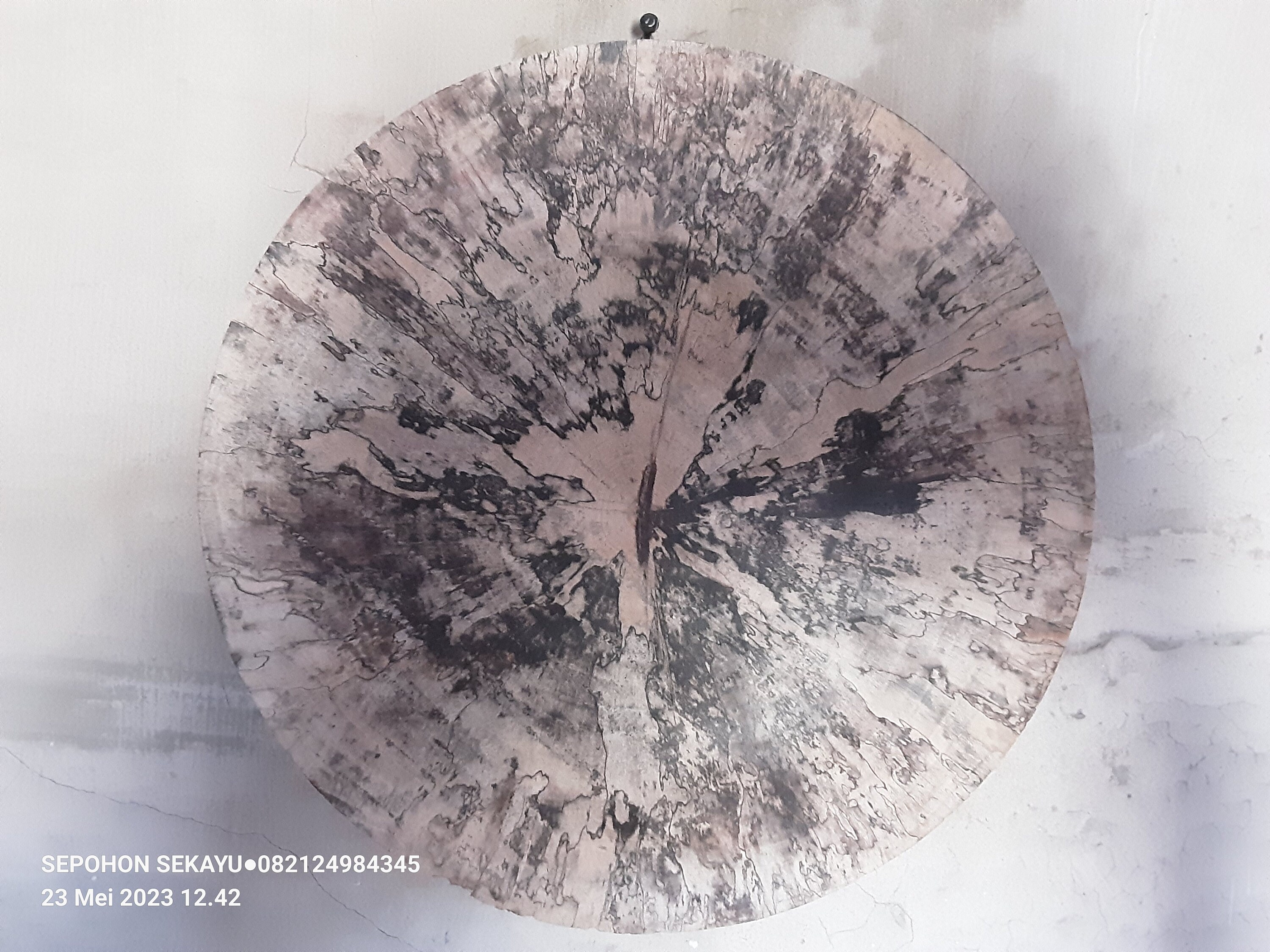 TAMARIND WALLDECO COIN - Etsy