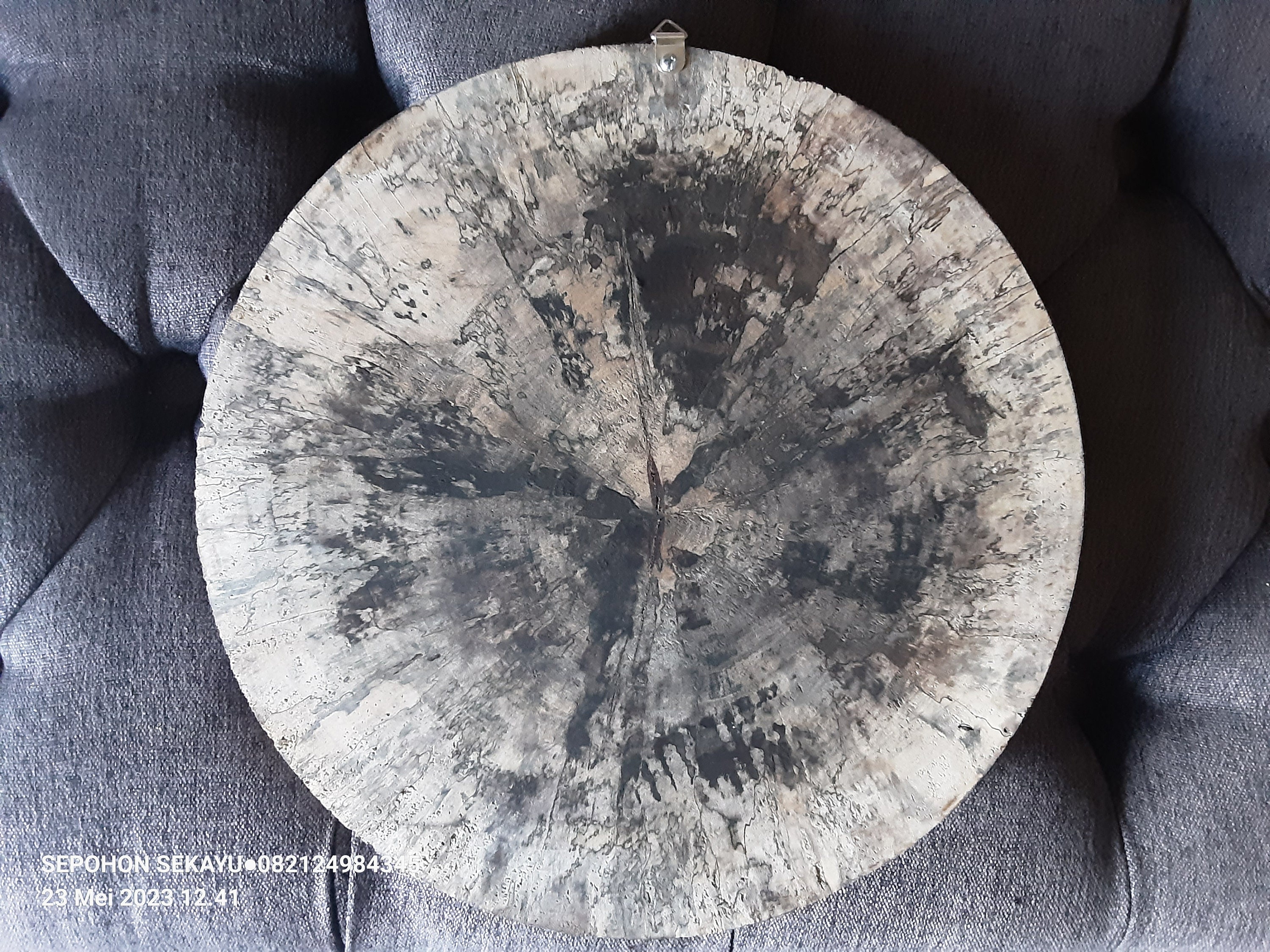 TAMARIND WALLDECO COIN - Etsy