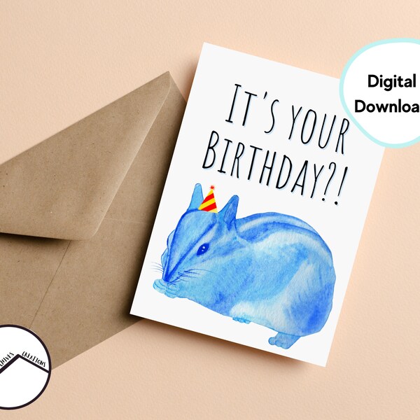 Chipmunk Birthday Card - Etsy