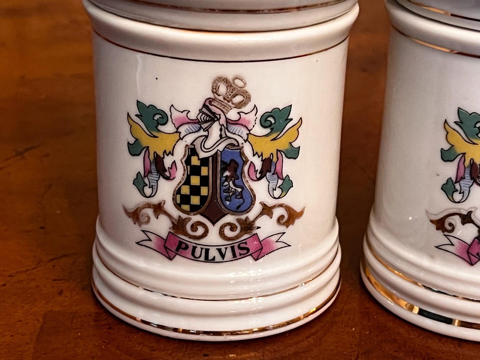Vintage Dom Japan Set of Two Latin Apothecary Jars Pulvis Salsus - Etsy