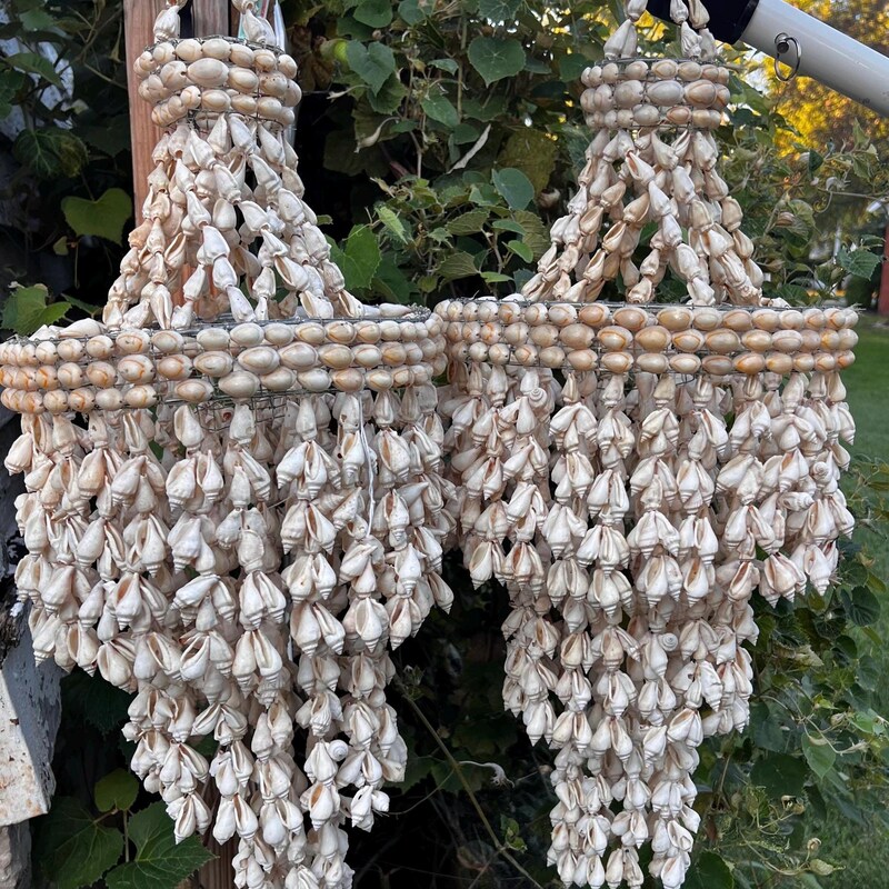Seashell Chandelier - Etsy