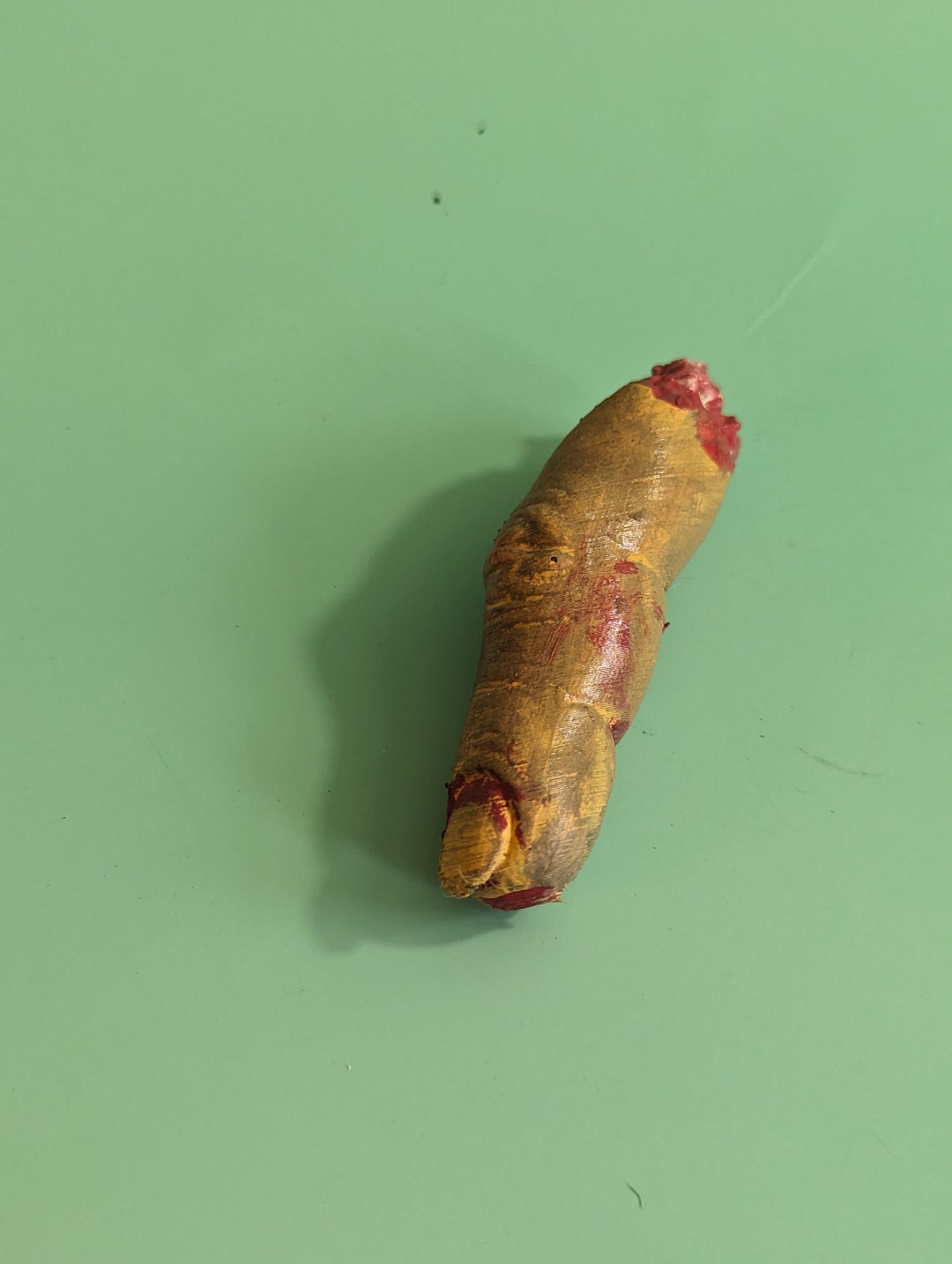Realistic Zombie Finger 3D Print - Etsy