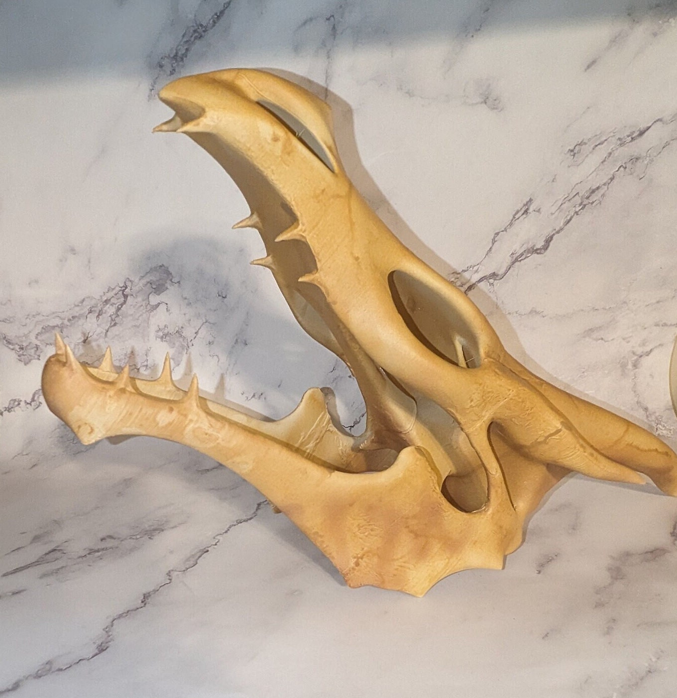 Replica Dragon Skull 3D Print - Etsy