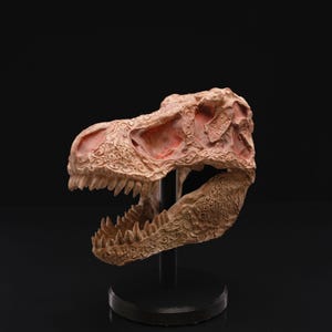 Realistic T-rex Skull Replica: 3D Printed, Hand-painted Dinosaur Model ...