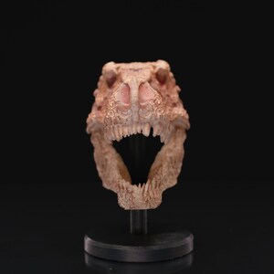 Realistic T-rex Skull Replica: 3D Printed, Hand-painted Dinosaur Model ...