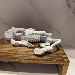 3D Printed Feline Skeleton Model: Large Cat Bone Replica for Halloween ...