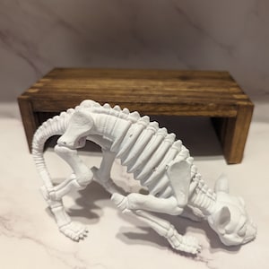 3D Printed Feline Skeleton Model: Large Cat Bone Replica for Halloween ...